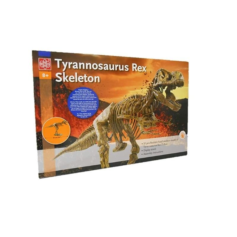 Tyrannosaurus Rex Skeleton – London Toys